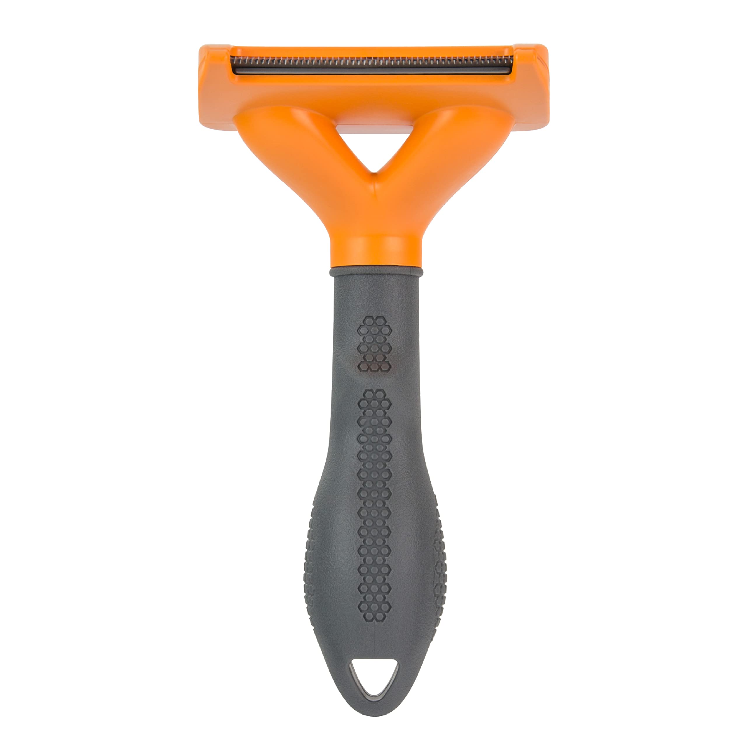 Grooming – The Dachshund Zone